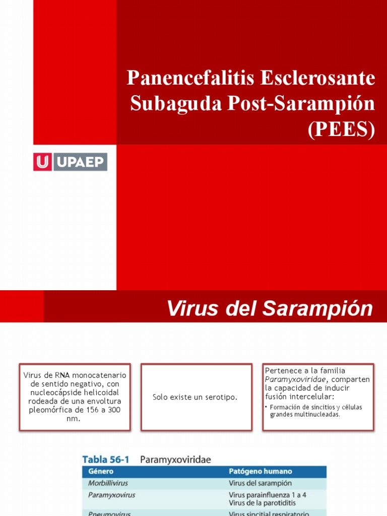 Encefalitis Post Sarampion | PDF | Sarampión | Virus