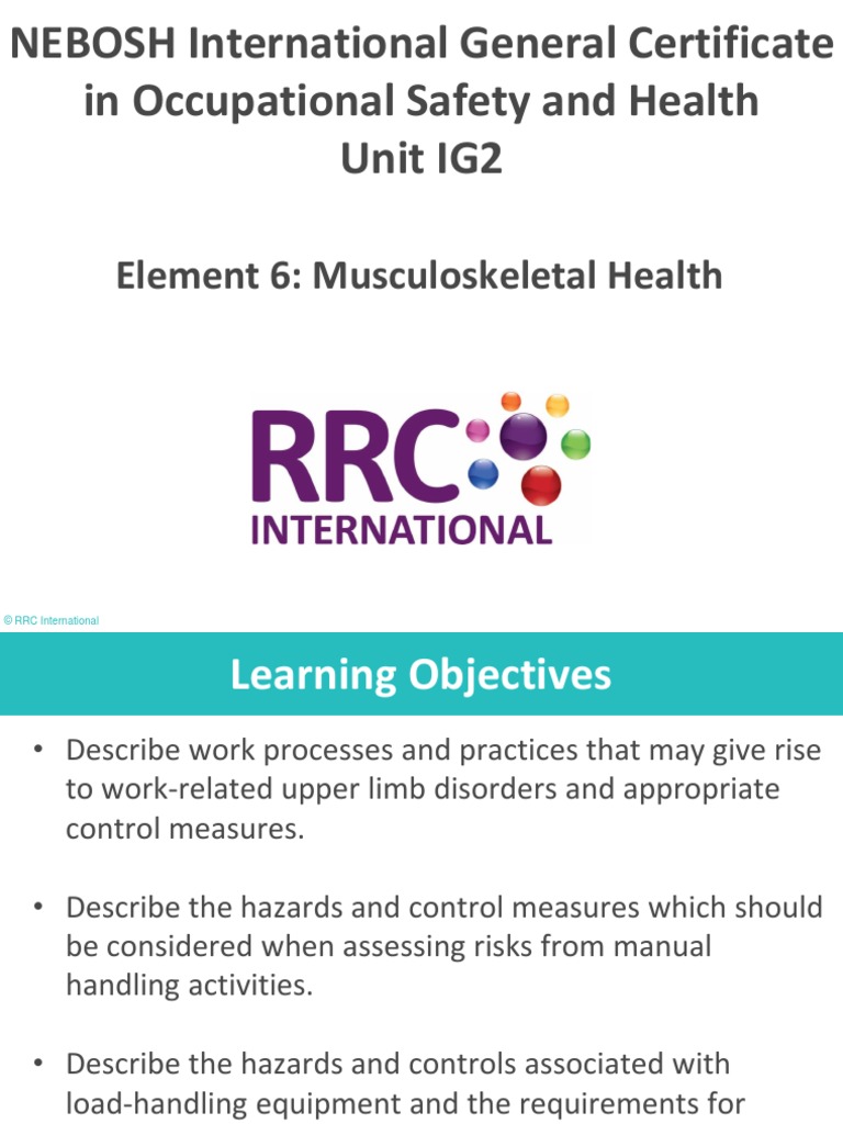 IG2 Element 6 | Download Free PDF | Safety | Occupational Safety And Health