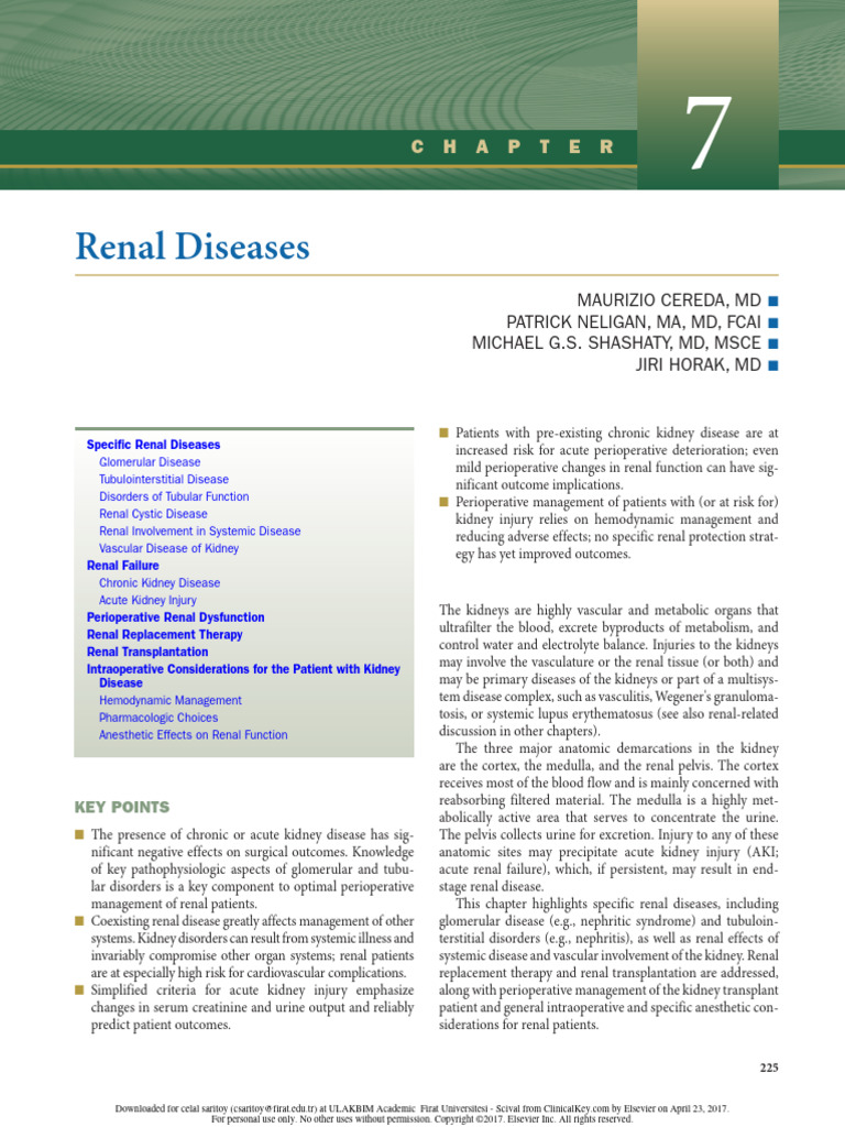 Renal Diseases | PDF | Kidney Disease | Kidney