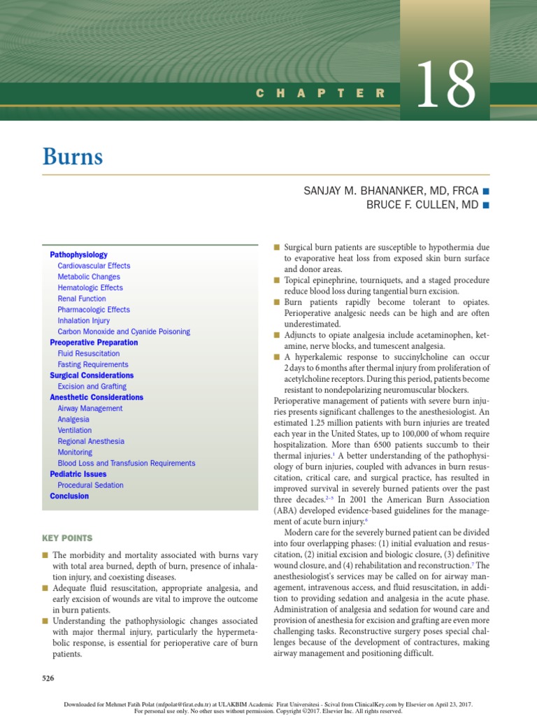 Burns | Download Free PDF | Burn | Anesthesia