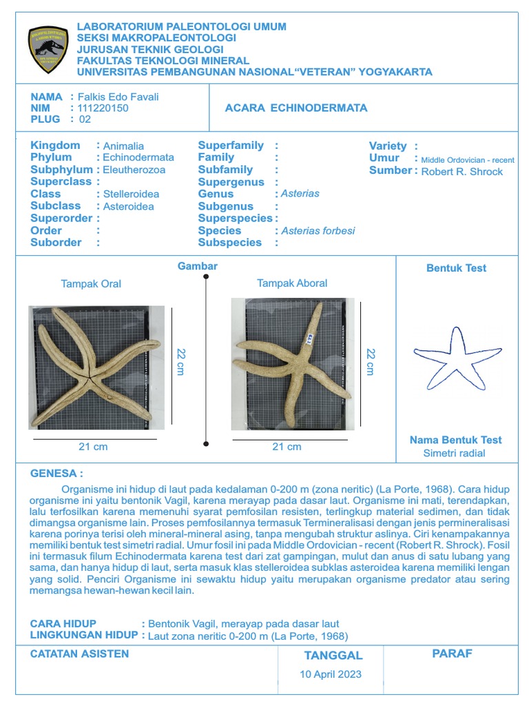 Asterias Forbesi 1 | PDF