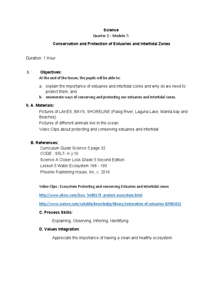 Conservation and Protection of Estuaries Andmintertidal Zones Lesson ...