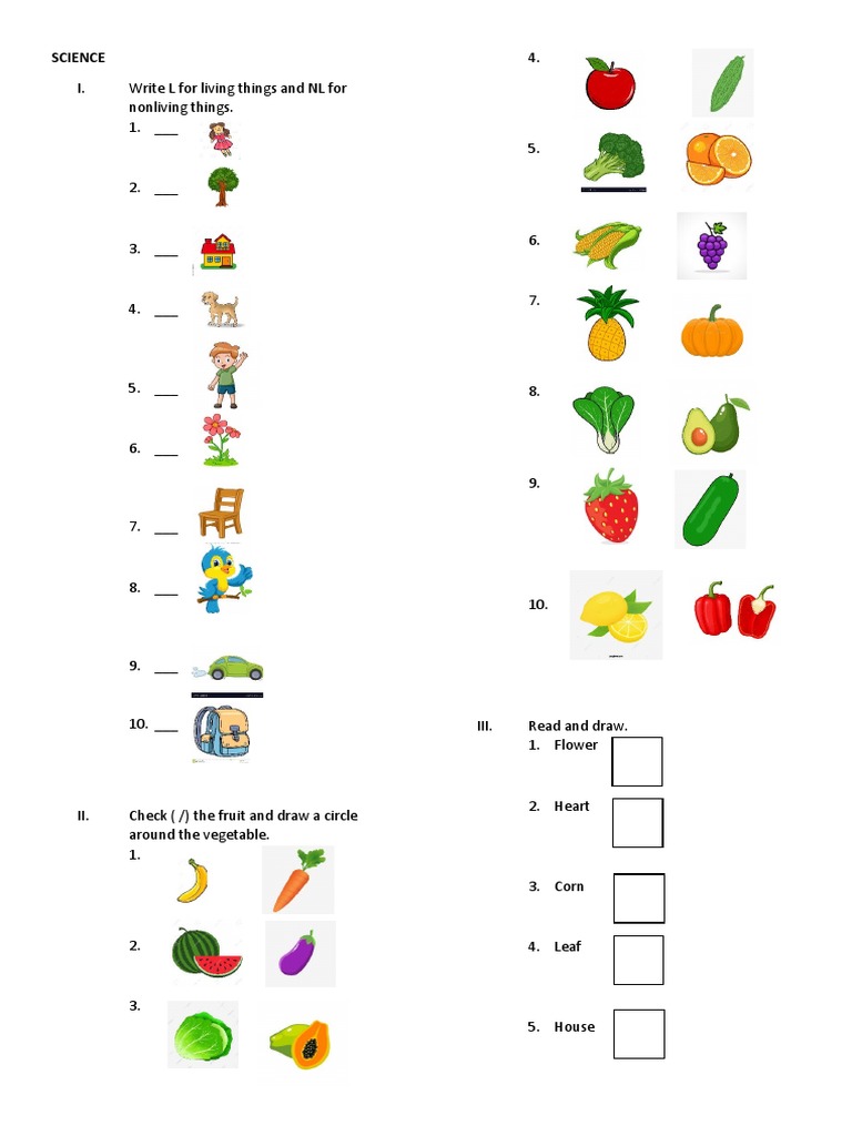 Science Kindergarten Quiz | PDF
