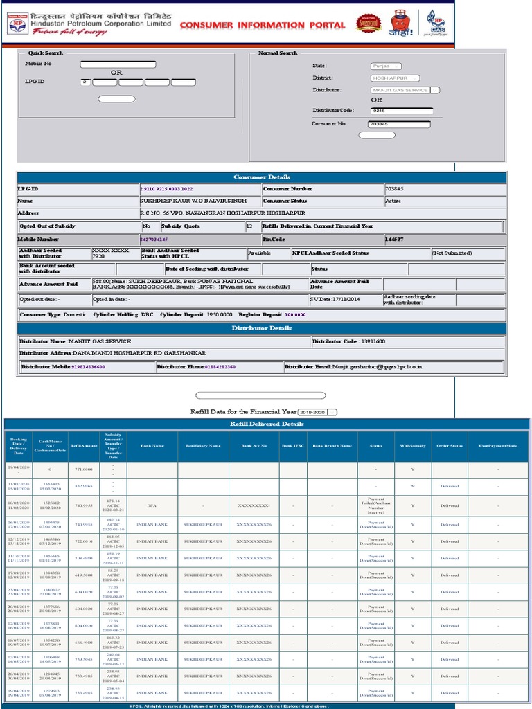 LPG Consumer Details Report | PDF