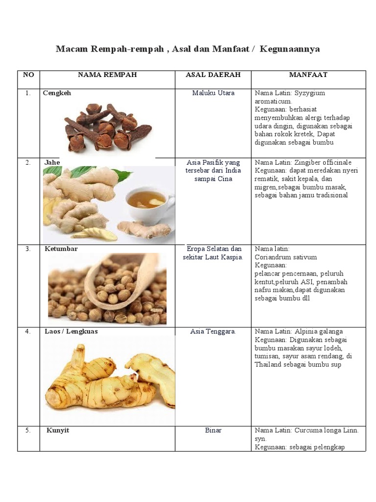 Macam Rempah TUGAS | PDF
