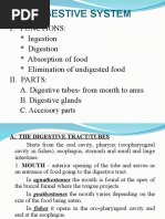Chapter 11 - Digestive System - Solutions For Class 9 ICSE Concise ...