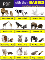 List of Animals and Their Babies Names | PDF | Birds | Organisms