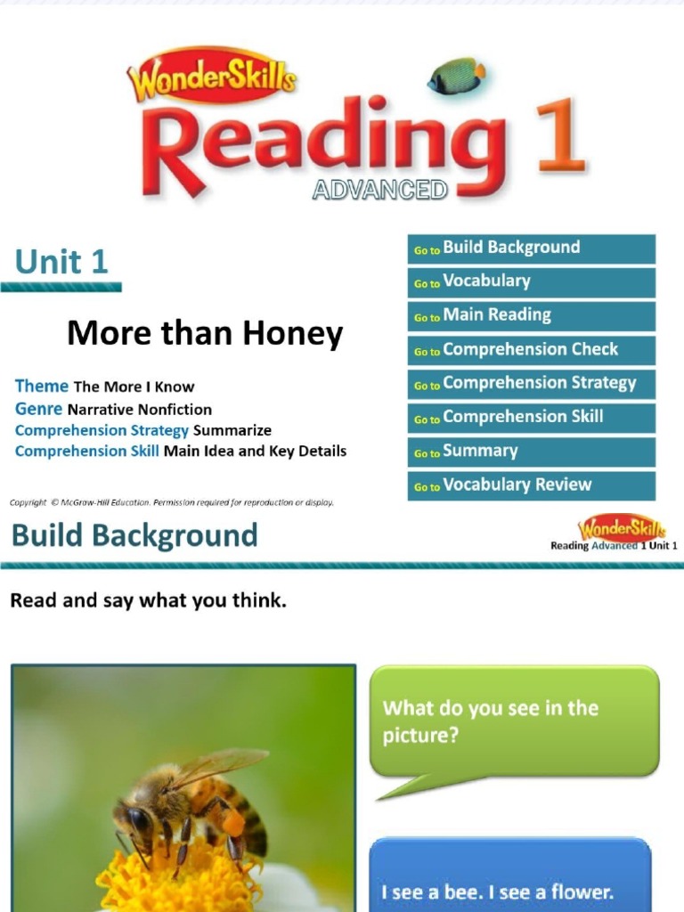 Honey Production and Beekeeping Basics | PDF
