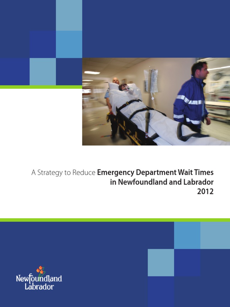 Wait Times PDF Emergency Department Strategy | PDF | Emergency ...