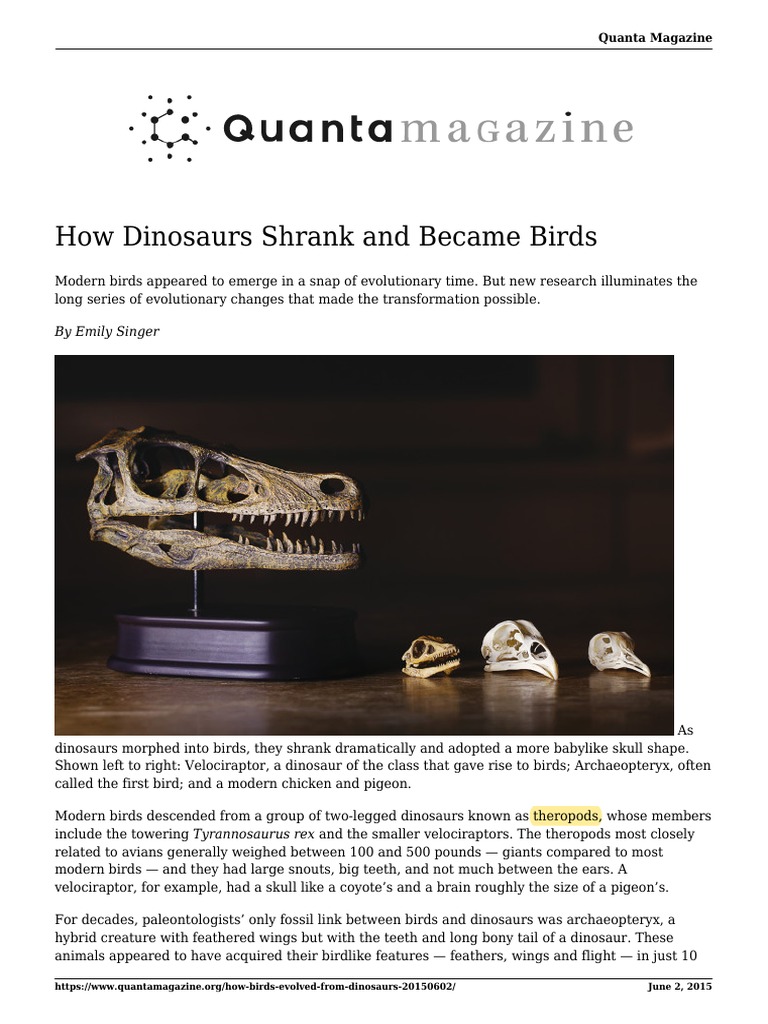 Evolution of Birds from Dinosaurs | PDF | Birds | Dinosaurs