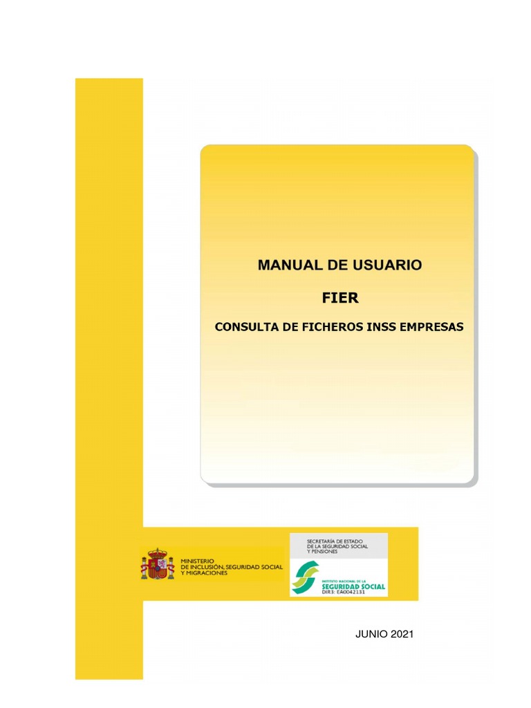 FIER Manual Usuario Definitivo | PDF | Página web | Archivo de computadora