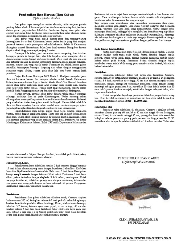 Brosur BUDI DAYA IKAN HARUAN | PDF