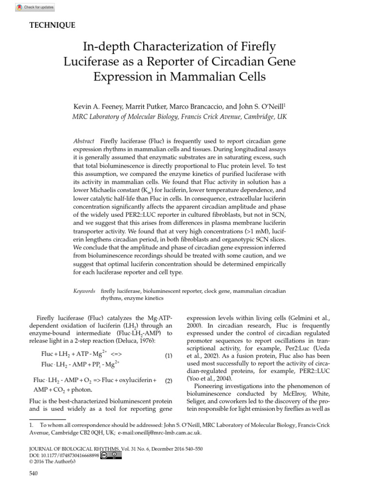 Feeney Et Al 2016 in Depth Characterization of Firefly Luciferase As A ...
