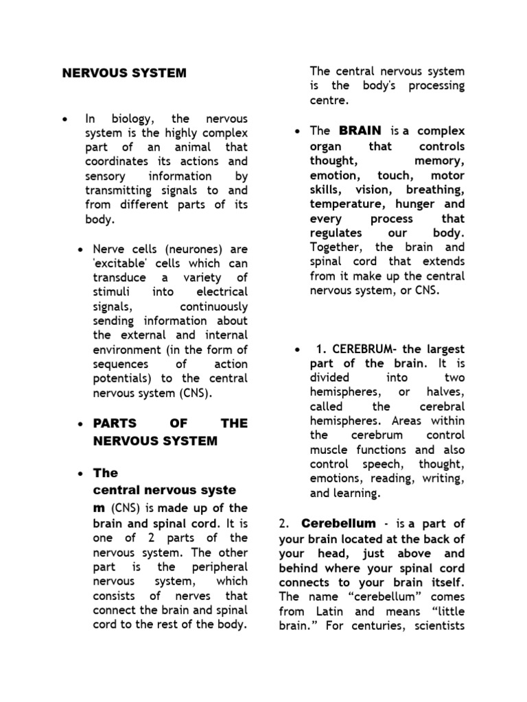 Science Q3 Nerv - System | PDF | Central Nervous System | Nervous System