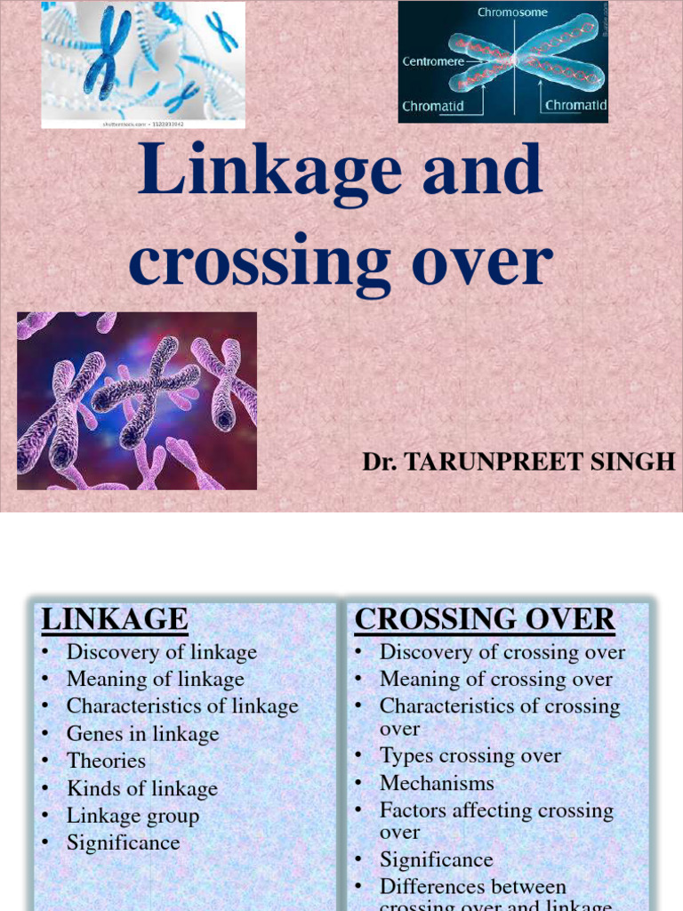 Linkage and Crossing Over | PDF | Genetic Linkage | Meiosis