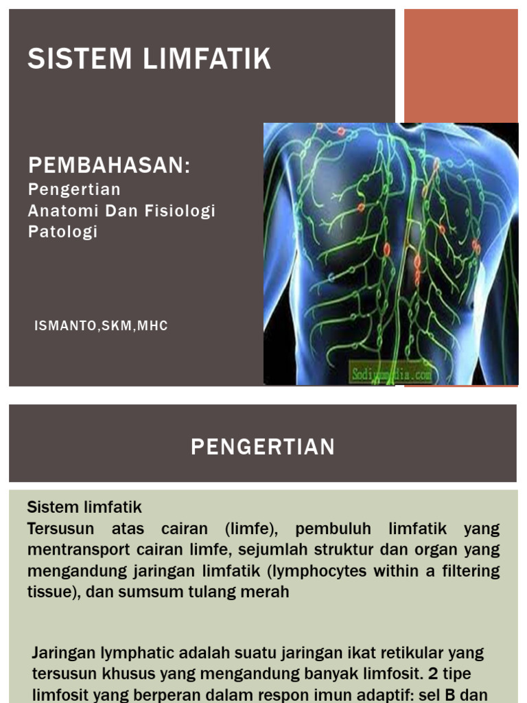Pengantar Sistem Limfatik Manusia | PDF