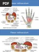 Thenar and Hypothenar Muscle Anatomy | PDF | Thumb | Hand