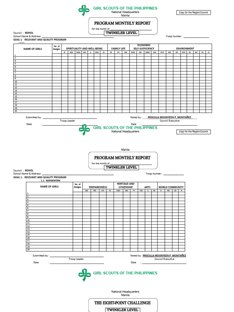 BADGEWORK Forms For 5 Age Levels | PDF