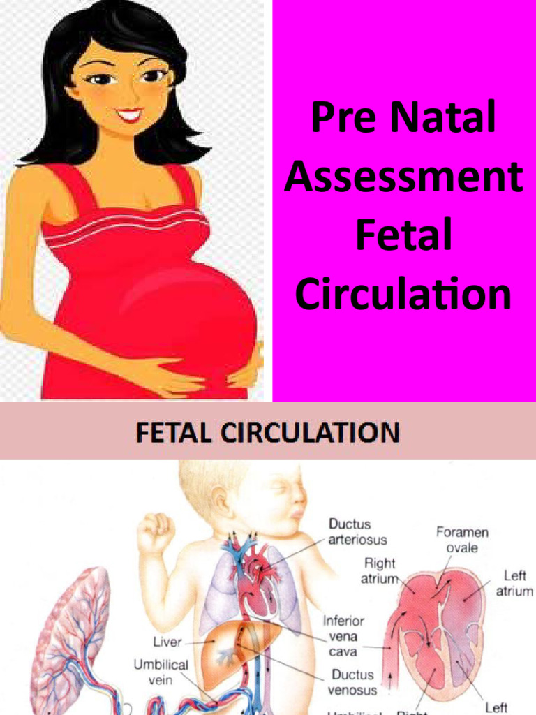 Ncm 107 Day 2 Skills Prenatal Care Stud22 | PDF | Pregnancy | Childbirth