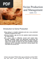 Swine Terminology | PDF | Pig | Livestock
