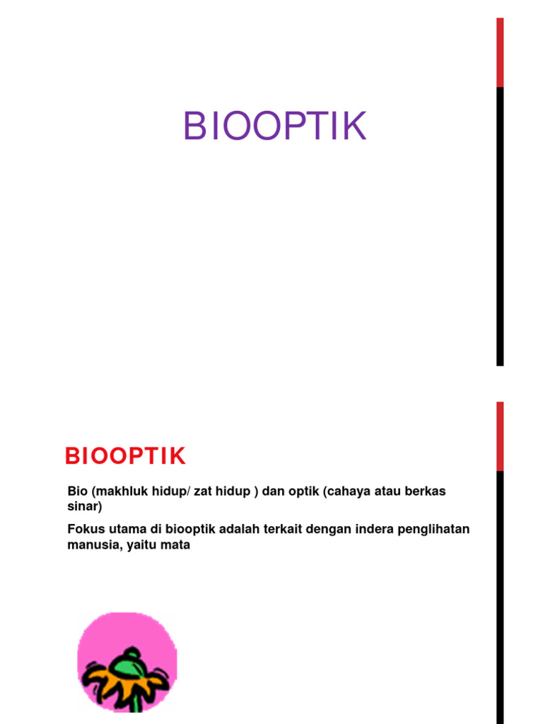 Biooptik | PDF