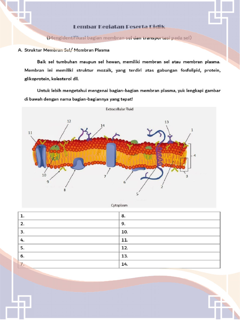 LKPD Struktur Membran Sel Dan Transpor Zat Kel. 5 | PDF | Sains ...