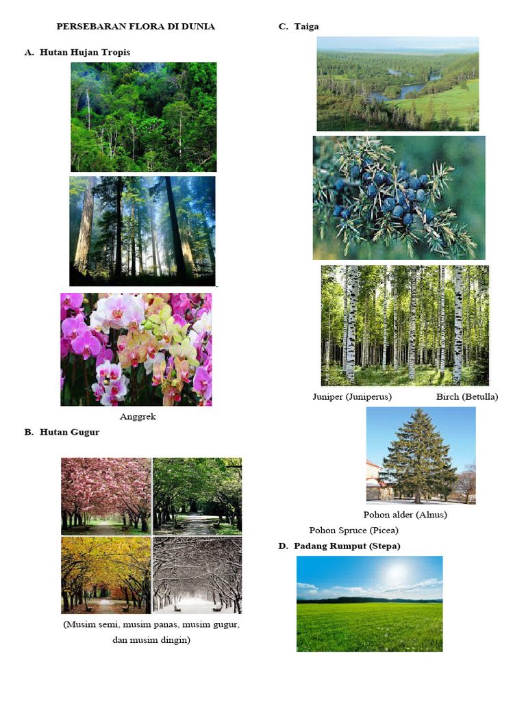 PERSEBARAN - FLORA - and - FAUNA - DI - DUNIA GAMBAR BAGI DUA | PDF