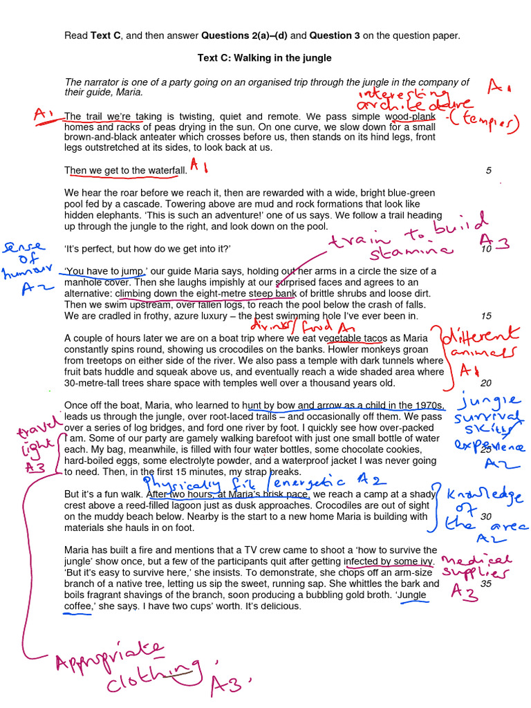 Year 10 Practice Work Interview Pdf