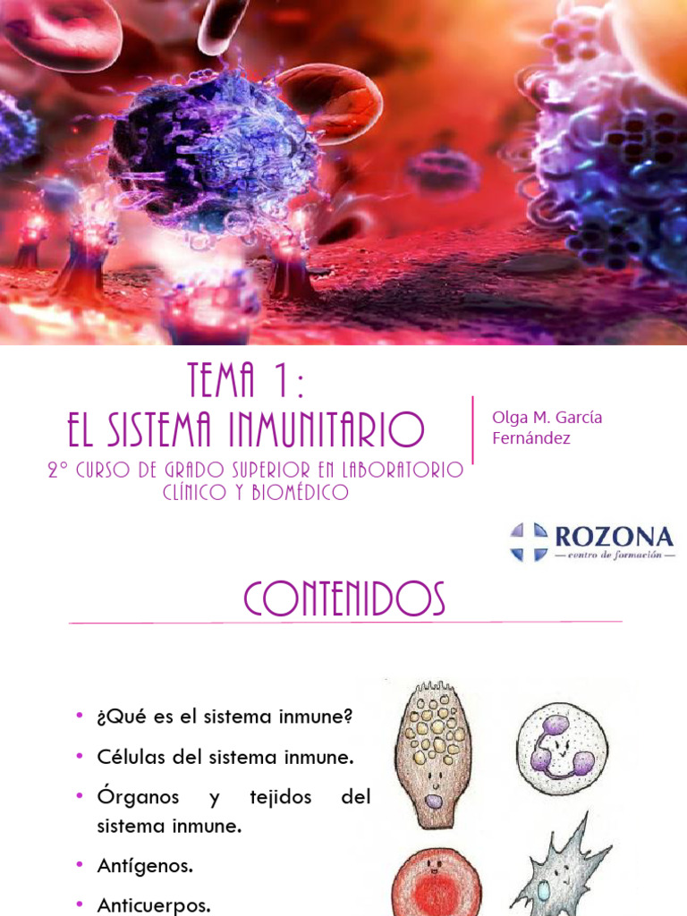 Tema 1. Sistema Inmune | PDF | Sistema inmune | Linfocitos