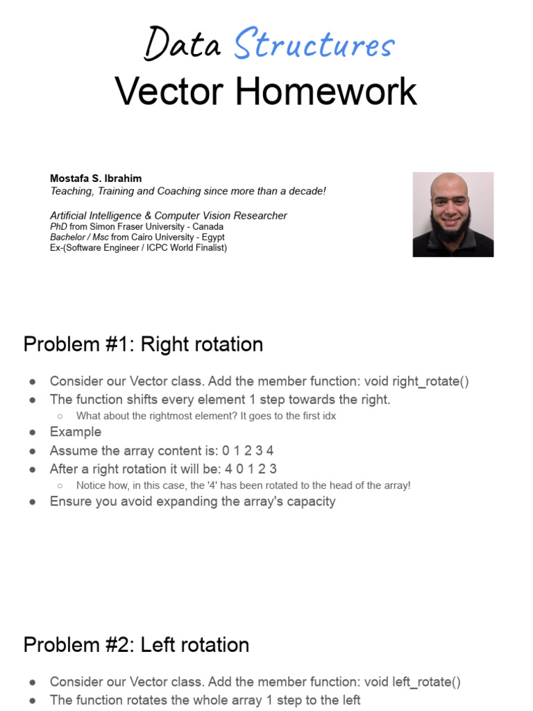 07 Vector Homework - 5 Medium Challenges | Download Free PDF | Data | Software Engineering