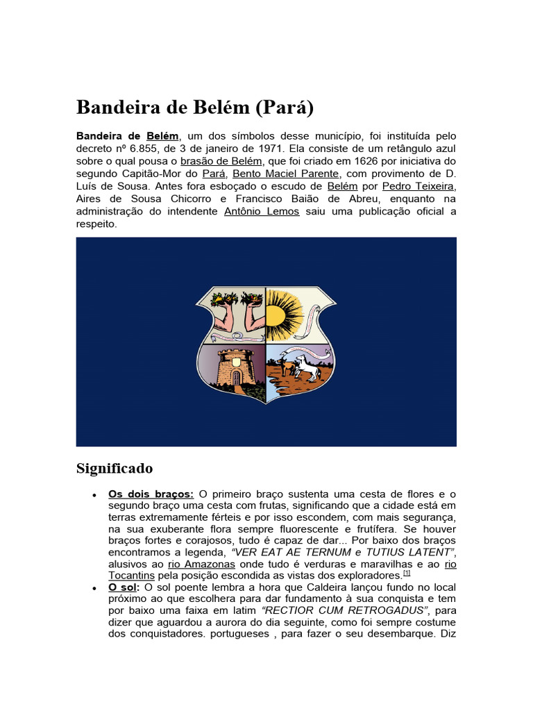 Bandeira de Belém | PDF