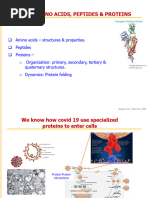 DALI Server: Protein Structure Alignment | PDF | Sequence Alignment ...
