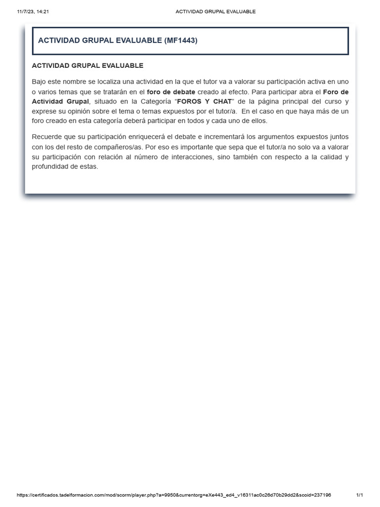 Participación en Actividad Grupal Evaluada | PDF