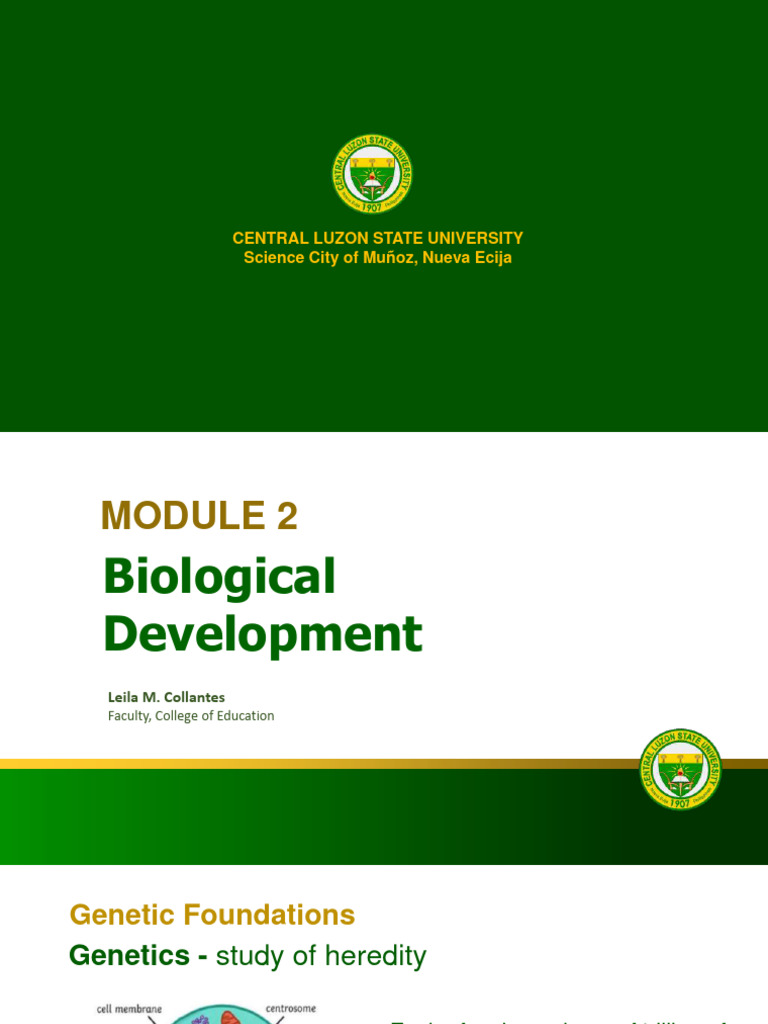 Module 2 - Part 1 - SED 2100 | PDF | Sex | Dominance (Genetics)