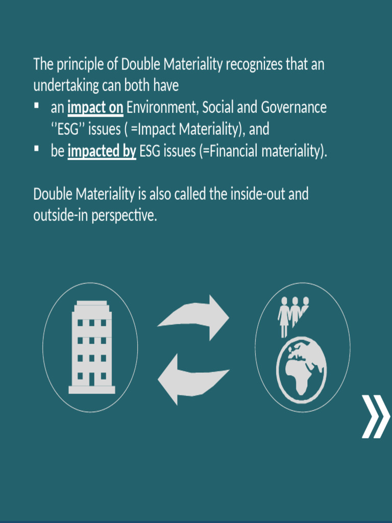 Double Materiality | PDF | Risk Management | Risk