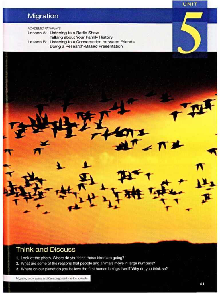 PATHWAYS 4 - Chapter 5 | PDF