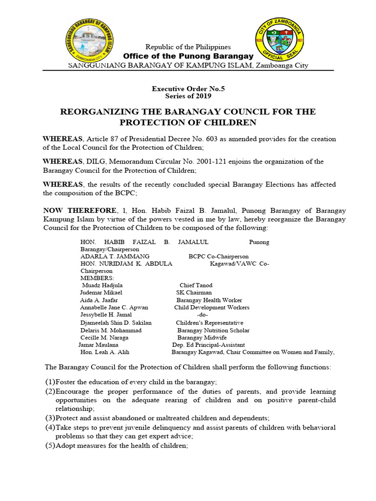 Reorganizing The Brgy Council | PDF | Childhood | Human Life Stages