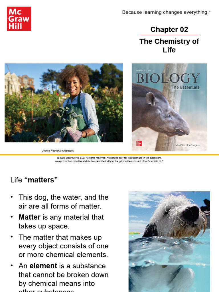 Hoefnagels Essentials4e Ch02 LecturePPT Accessible | PDF | Chemical ...