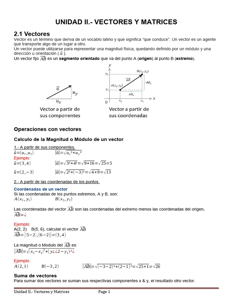 Unidad II Vectores y Matrices | PDF | Matriz (Matemáticas) | Vector Euclidiano