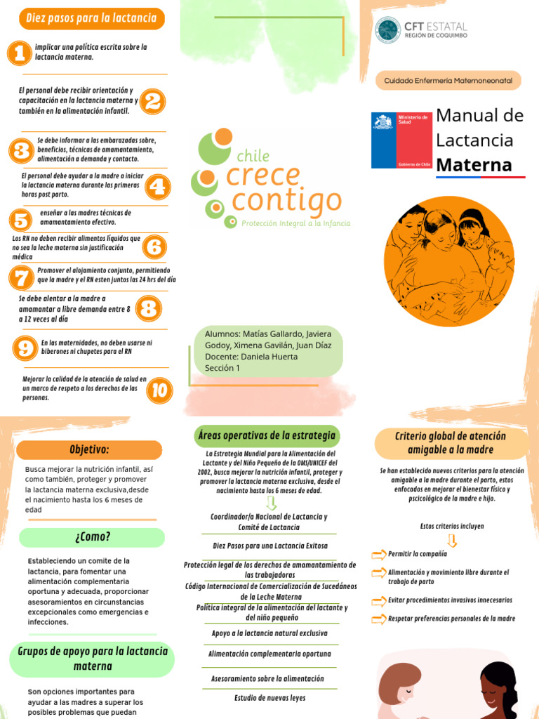 Manual De Lactancia Materna Descargar Gratis Pdf Amamantamiento