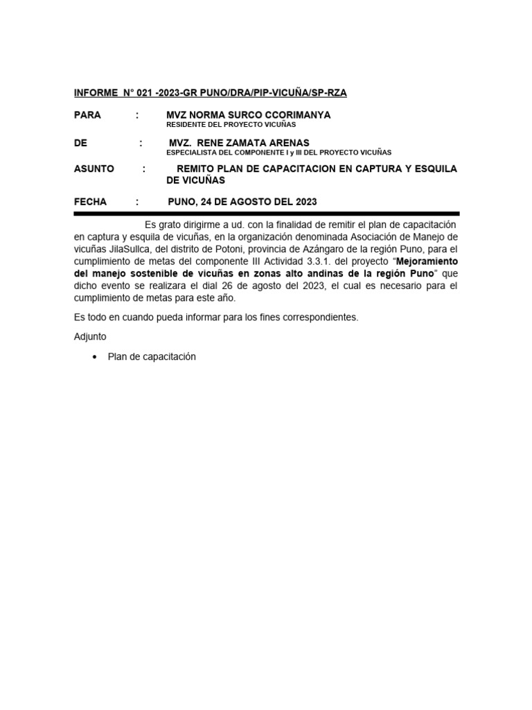 Informe 21 Plan. Cap. Jilasullca Captura y Esquila | PDF | Aprendizaje | Procesos mentales