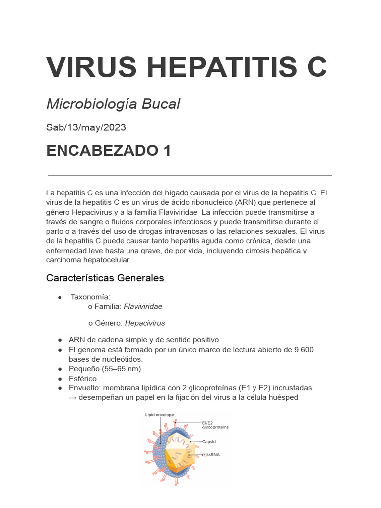 Virus Hepatitis C | PDF | Hepatitis C | Virus de la hepatitis C