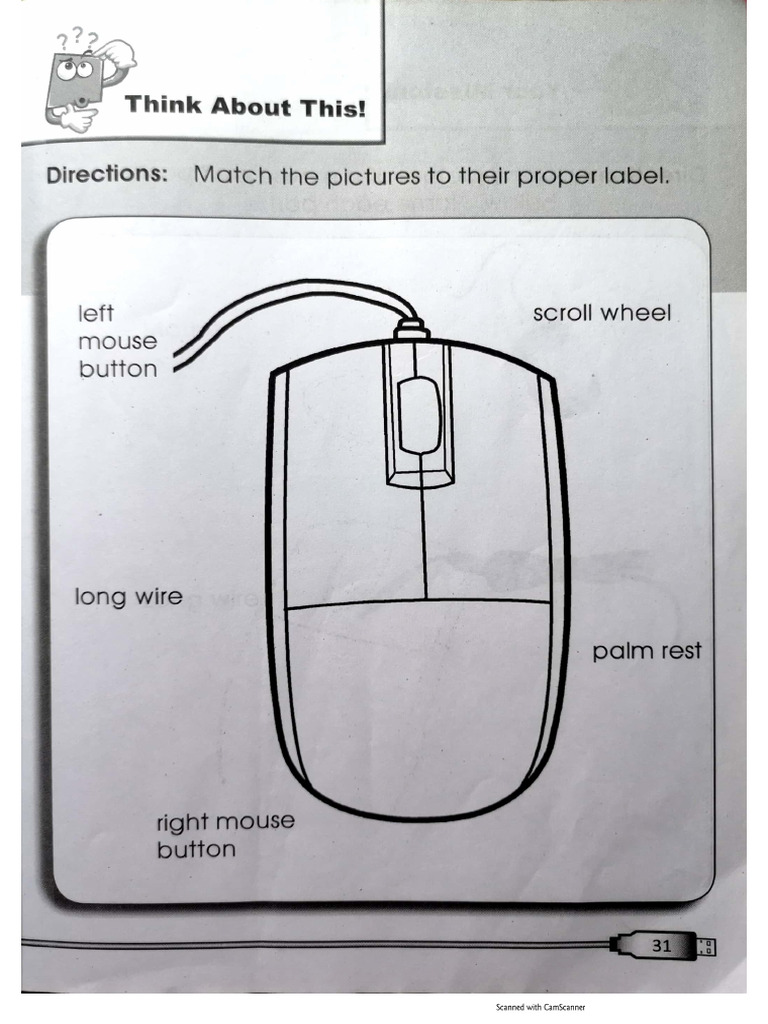 Lesson 1 - The Mouse and Its Parts (Worksheets) | PDF