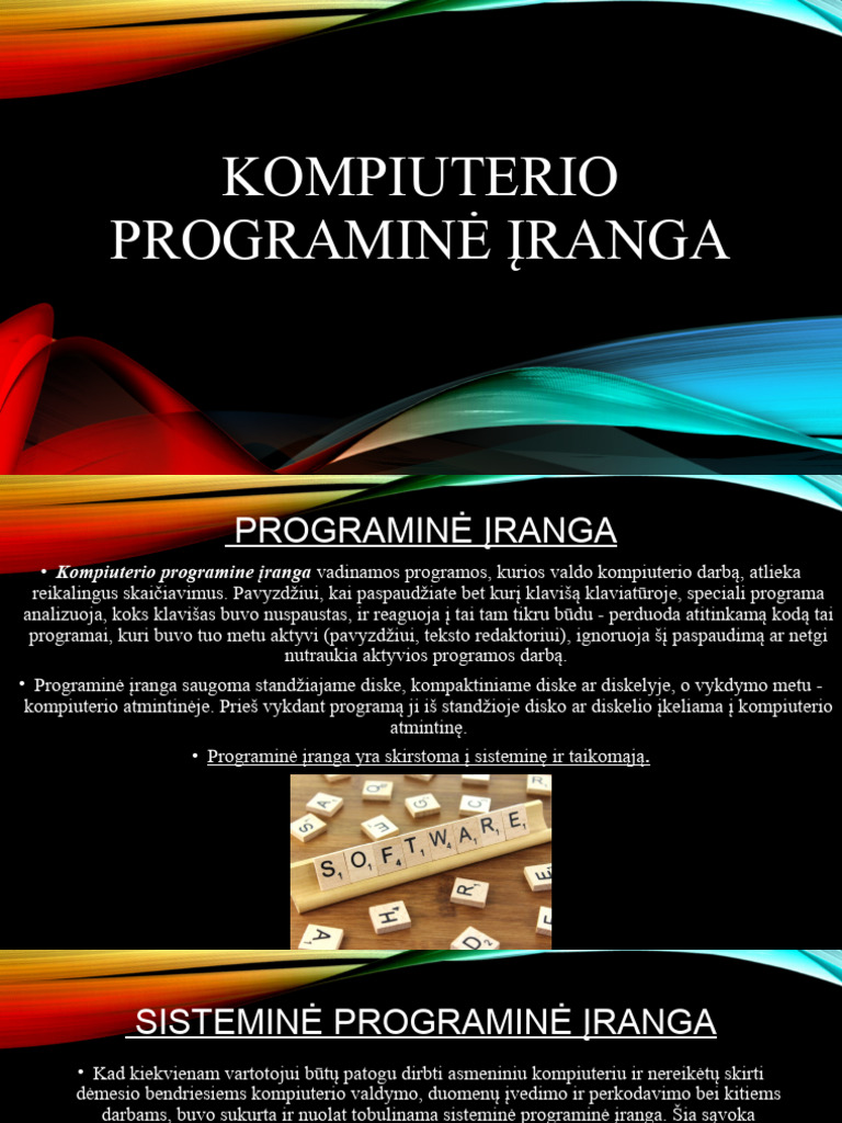 Kompiuterio Programinė Įranga | PDF