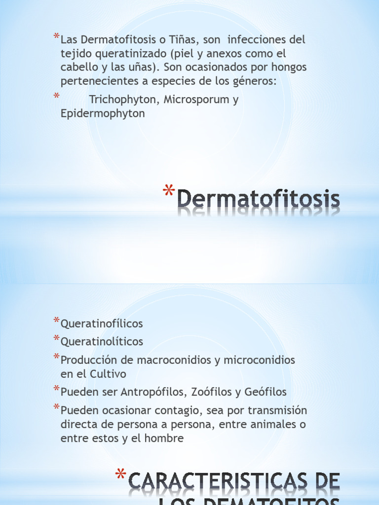4 Dermatofitos | PDF | Micología | Organismos
