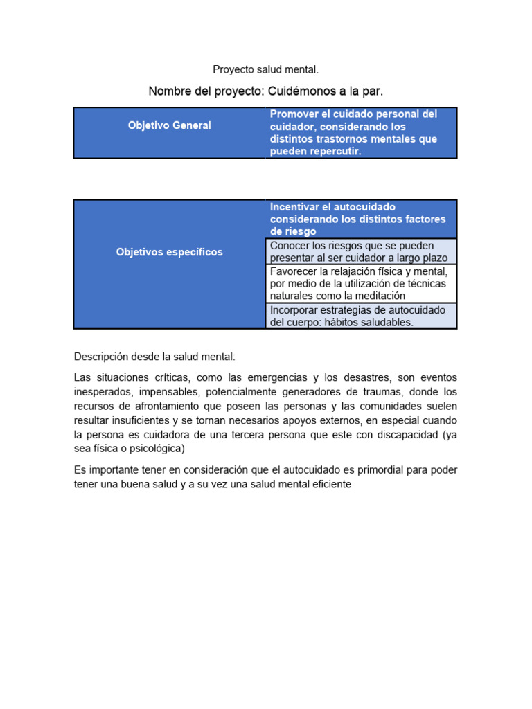 Proyecto Salud Mental | PDF