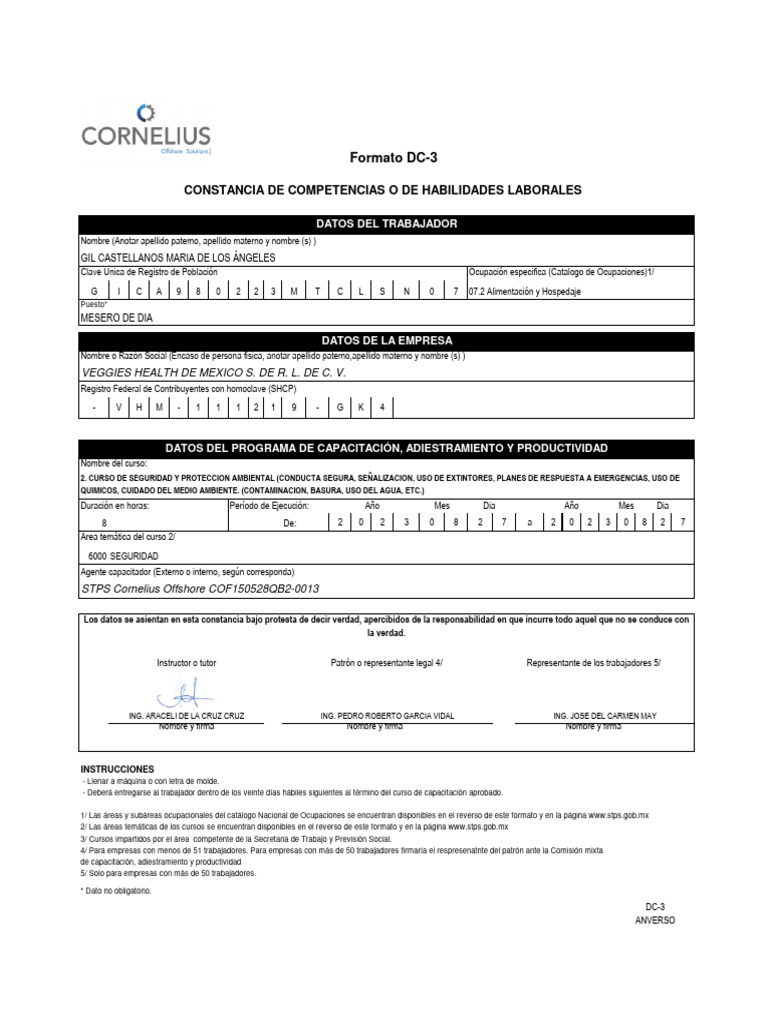 Dc3 - Castellanos | PDF