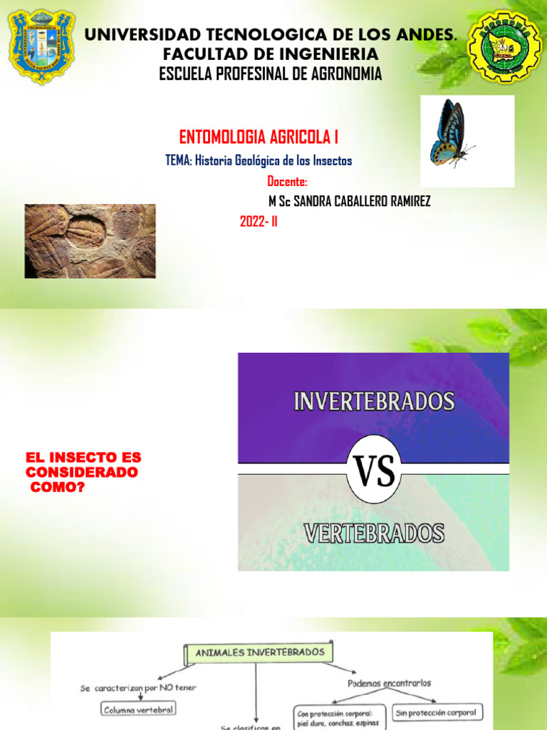 Entomologia Historia de Los Insectos | PDF | Insectos | Taxa
