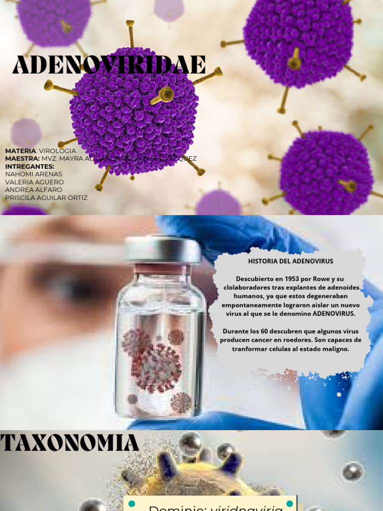 ADENOVIRIDAE | PDF | Adenoviridae | Virus