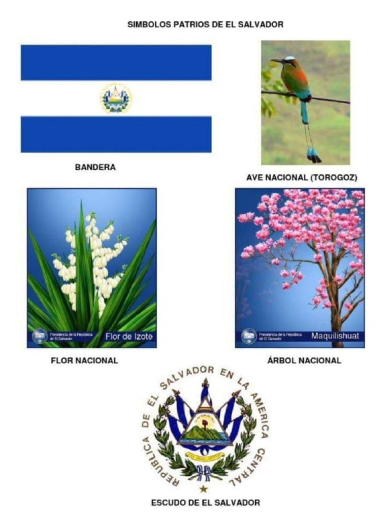 Simbolos Patrios de El Salvador | PDF Simbolos Patrios de El Salvador | PDF